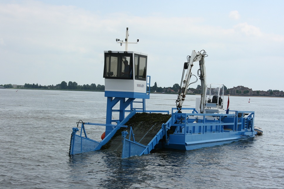 Algae cleaning machines | Your Success is our Success